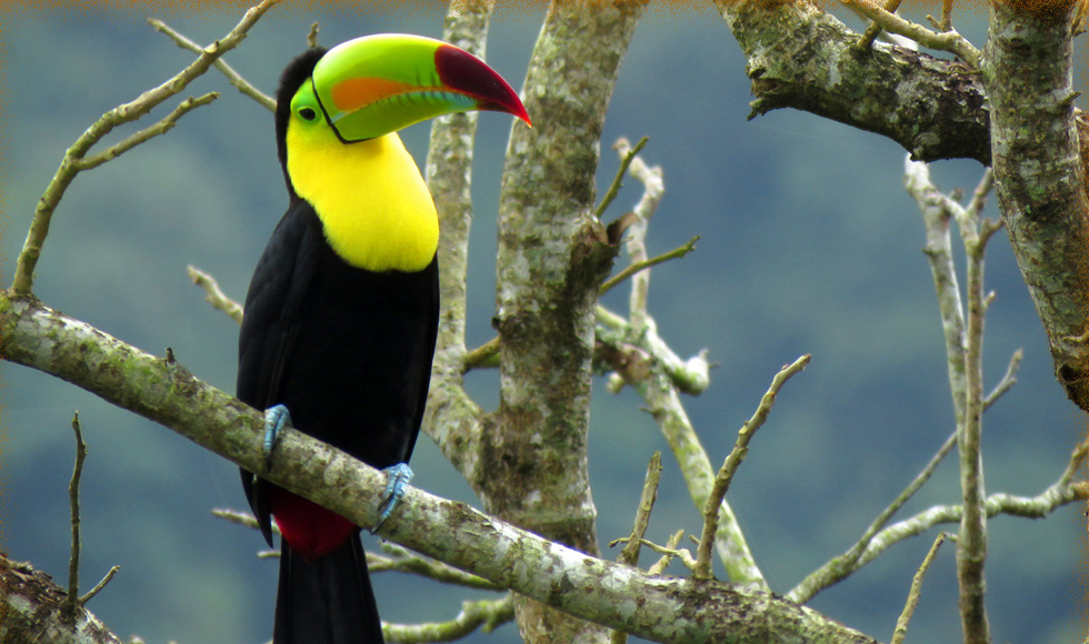 Selva del Marinero – Turismo rural en la biósfera de Los Tuxtlas